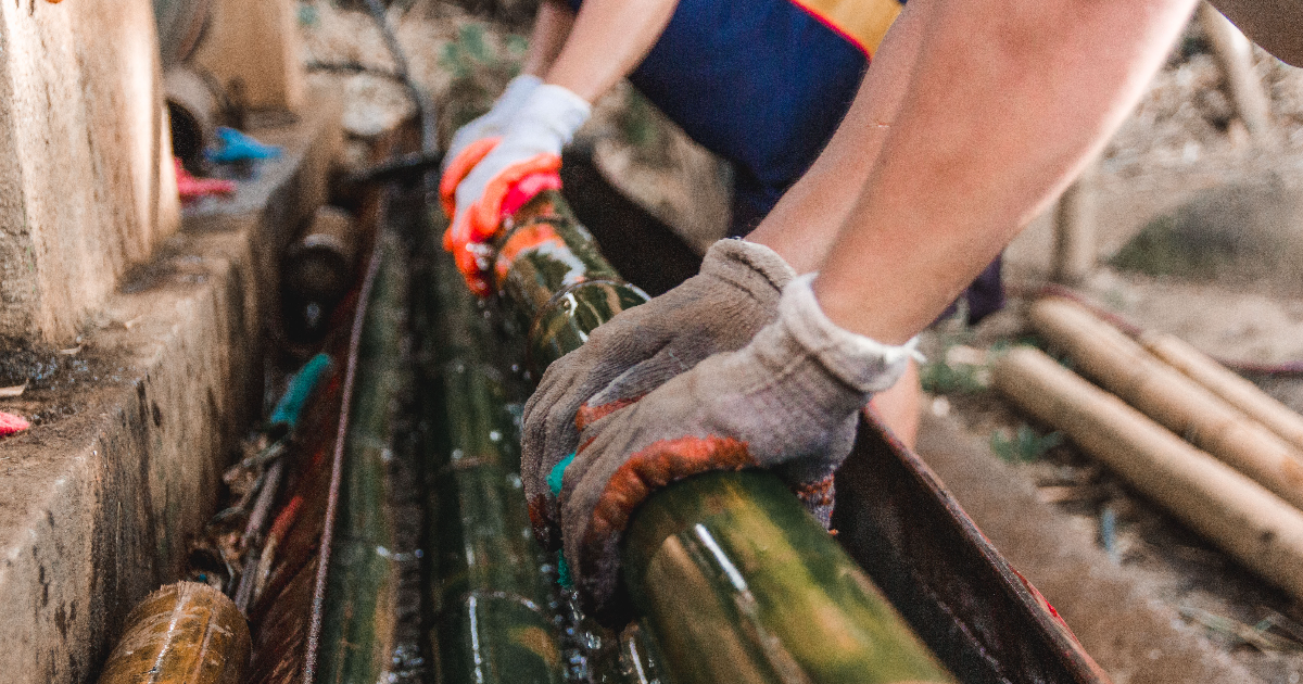 Bamboo's Role in Driving the Circular Economy - Building Sustainable ...