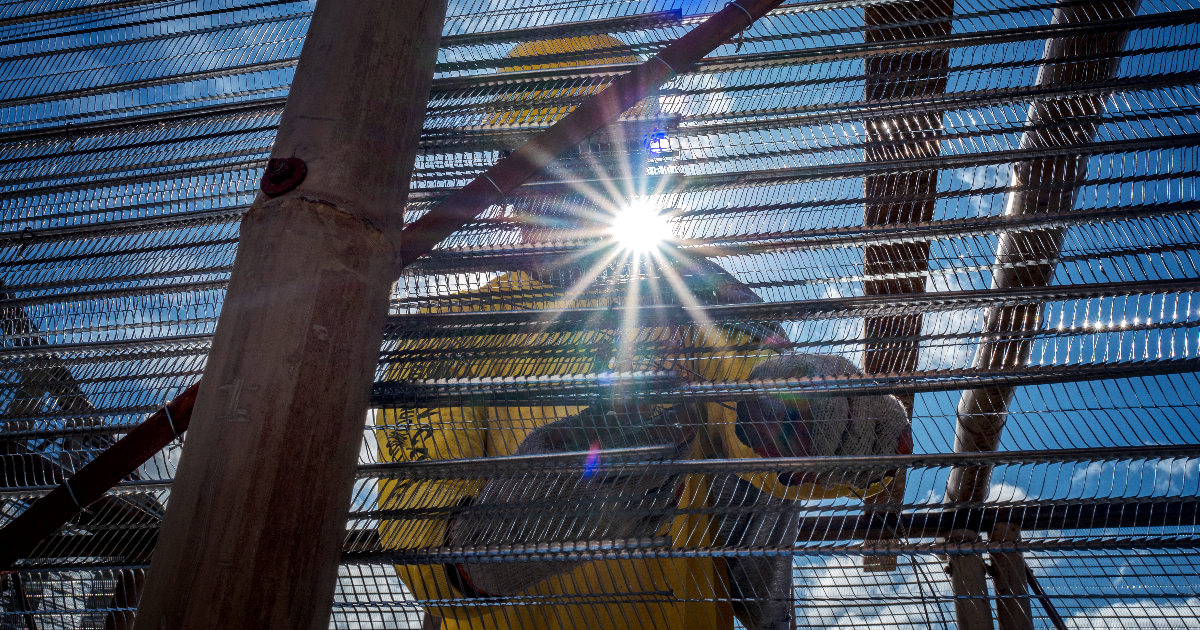 Discovering the Fire Resistance of Cement-Bamboo Frame Technology ...